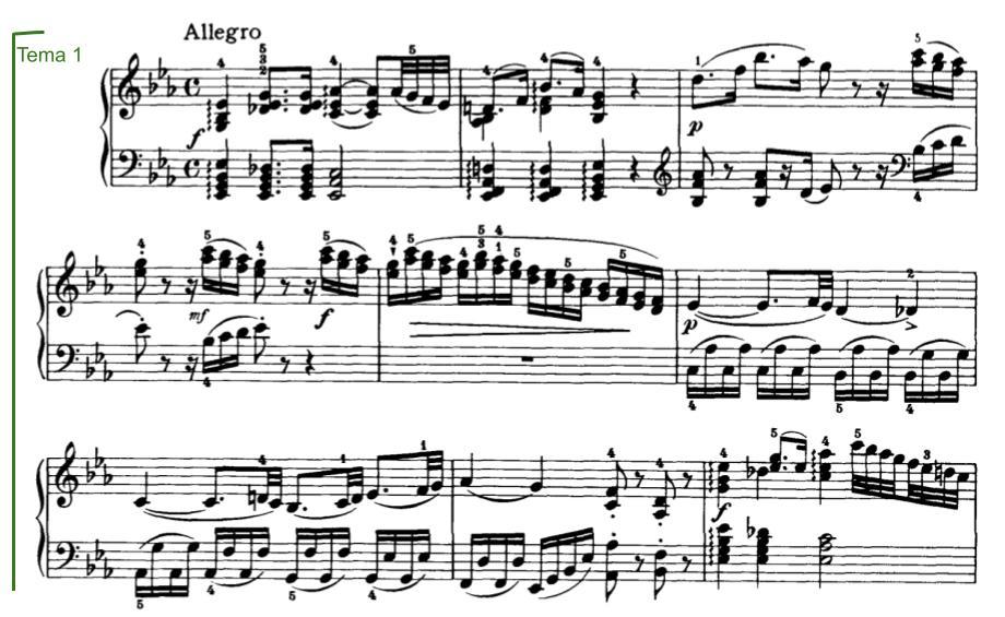 La Sonata. Analisi della struttura di questa forma musicale