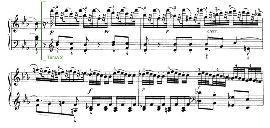 La Sonata. Analisi della struttura di questa forma musicale