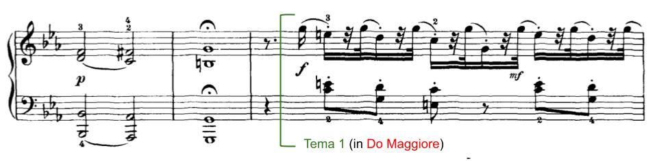 La Sonata. Analisi della struttura di questa forma musicale