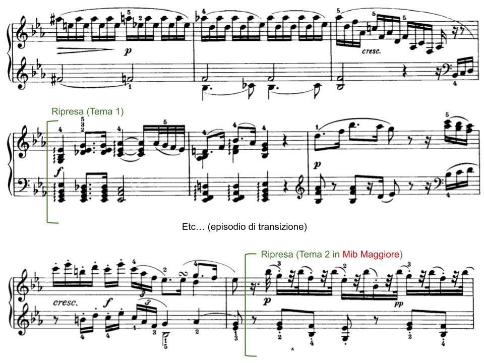 La Sonata. Analisi della struttura di questa forma musicale